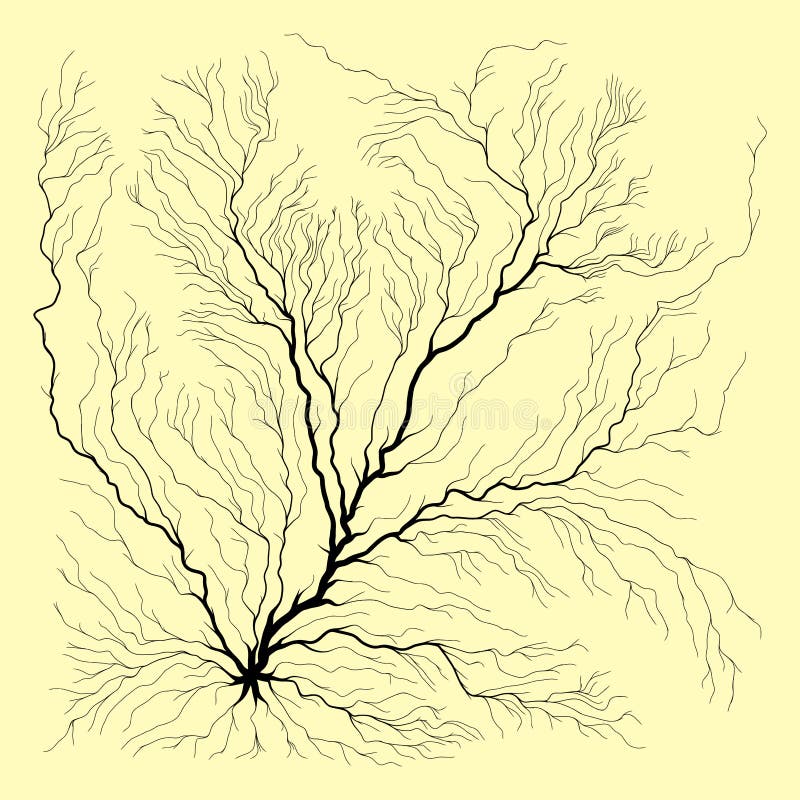 Abstract Circle Shape Illustration of Tree Roots. Stock Vector ...