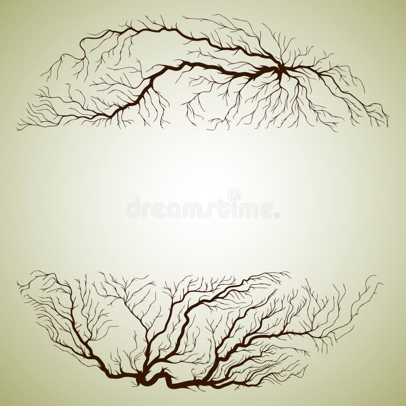 Abstract Circle Shape Illustration of Tree Roots. Stock Vector ...