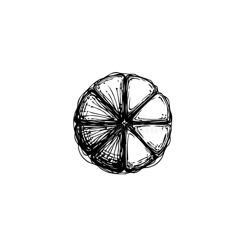Abstract Citrus Fruit Illustration with Stylized Segments and Line Work ...
