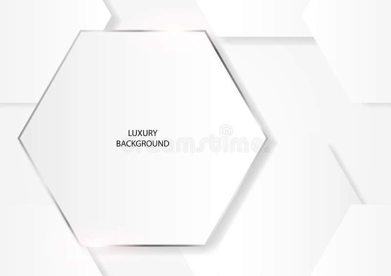 Abstract Clean White Hexagonal Shapes with Silver Frame Stock Vector ...