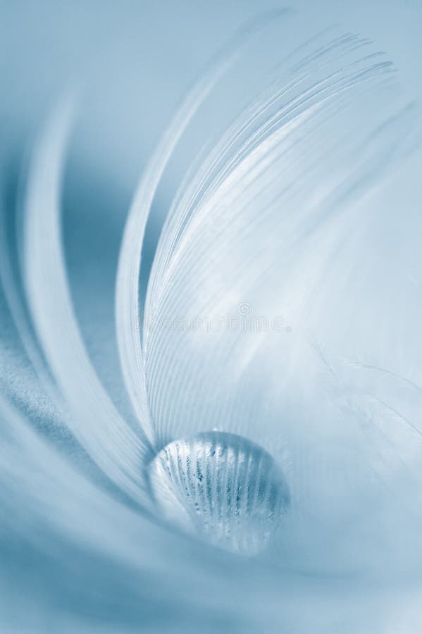 Abstract Purity Background. Stock Image - Image of fluffy, abstract ...
