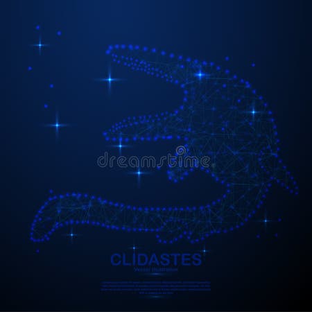 Clidastes Stock Illustrations – 1 Clidastes Stock Illustrations ...