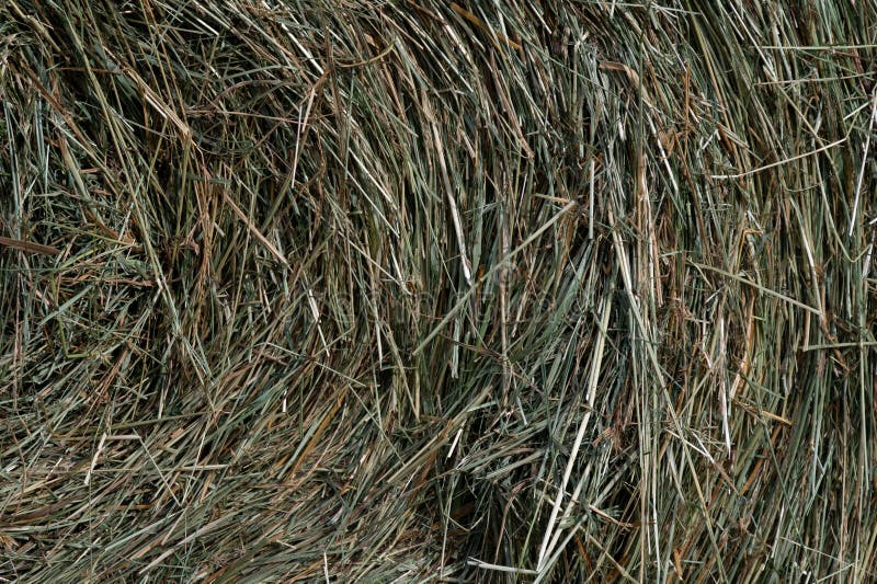 Abstract: a Close Look at the Side of a Hay Roll Stock Photo - Image of ...