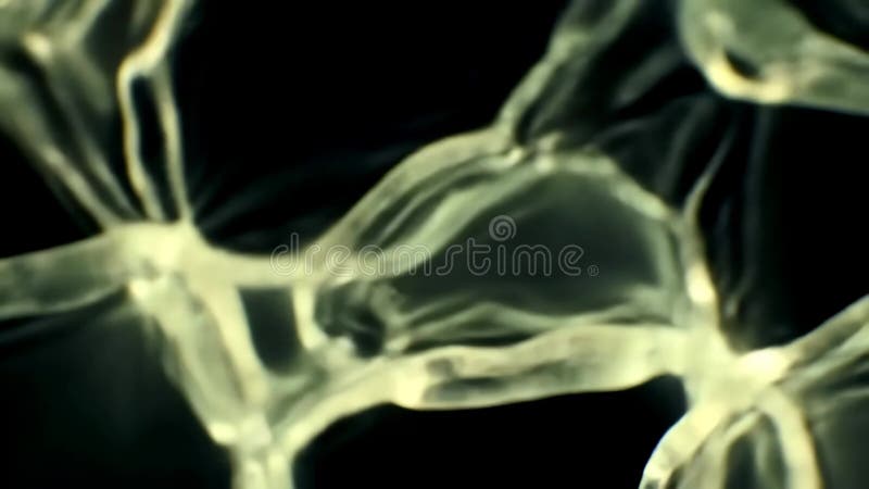 Abstract Close-up Animation of a Glowing Neural Network with Pulsating ...