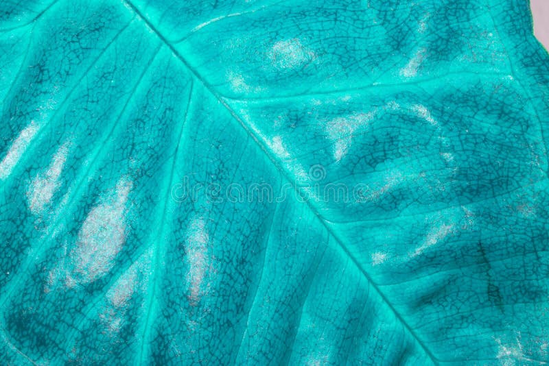 Abstract Close Up of Leaf and Stem in Vibrant Colours for Background ...