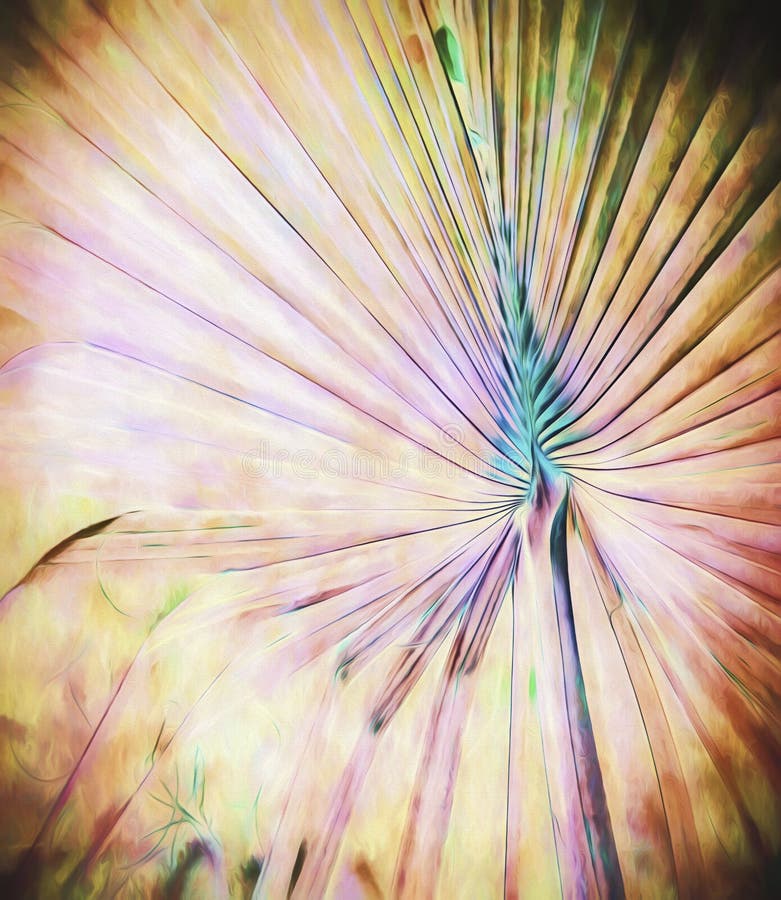 Abstract Close Up of a Palm Leaf Stock Illustration - Illustration of ...