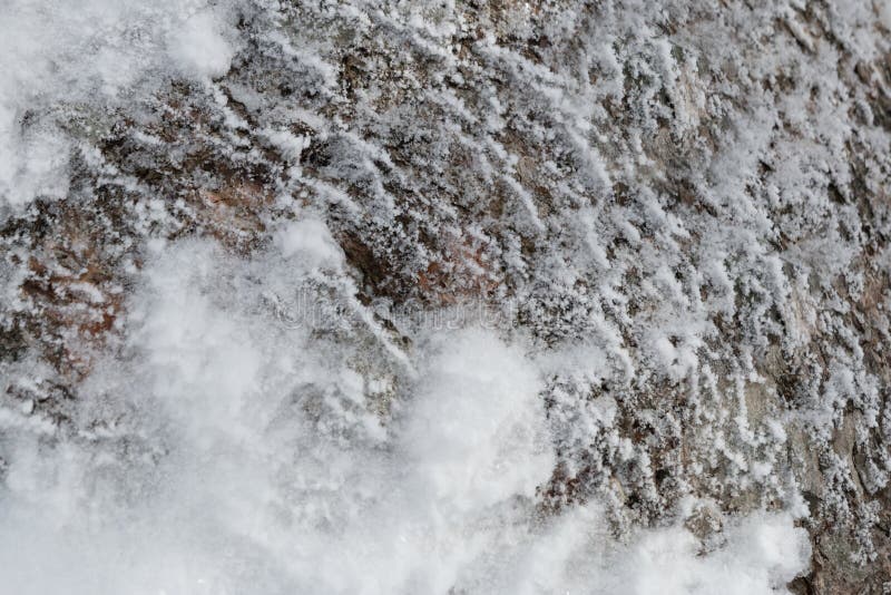 Abstract Close Up of Snow and Ice on Tree Bark in Winter Stock Image ...