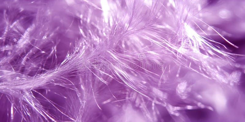 Abstract Close-Up of Textured Purple Fibers with Light Reflections ...