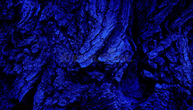 Abstract Closeup of a Blue Tree Bark Texture Background Stock Image ...