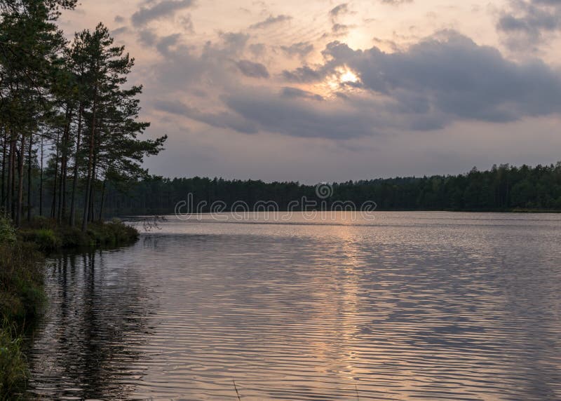 Abstract Clouds and Light Reflections on the Water Surface, Interesting ...
