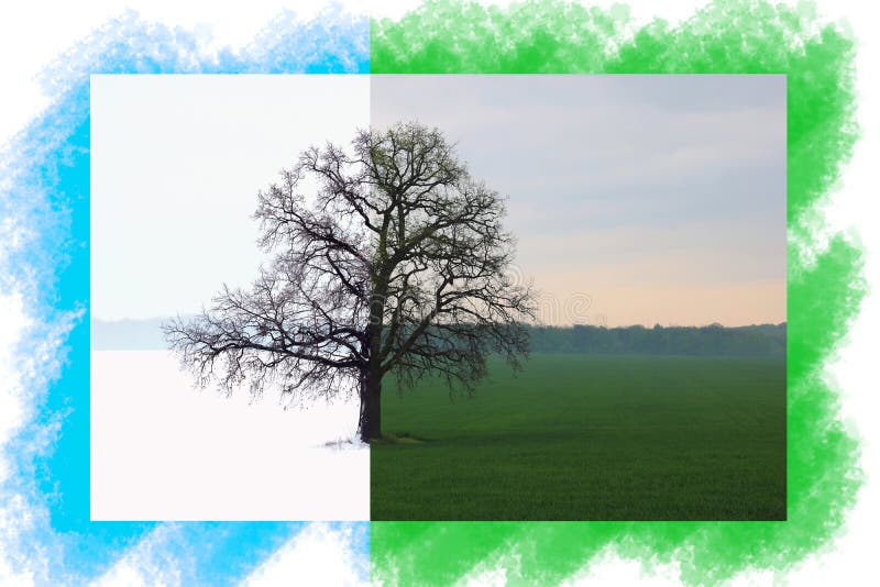 Abstract Collage with Different Sides of Tree with Changing Seasons ...