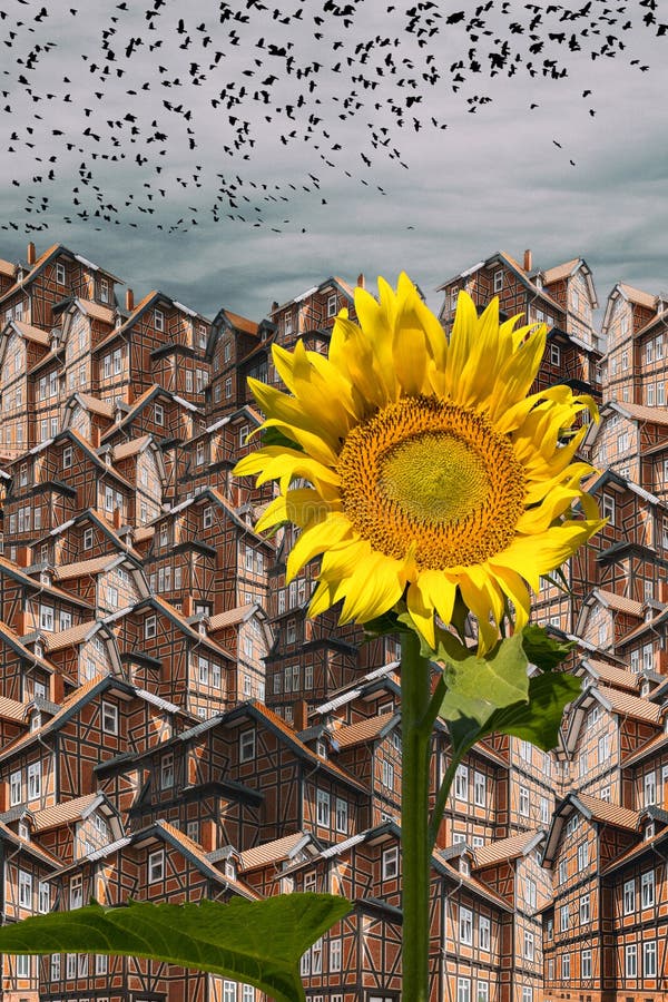 Abstract Collage with a Sunflower, Houses and a Flock of Birds in the ...
