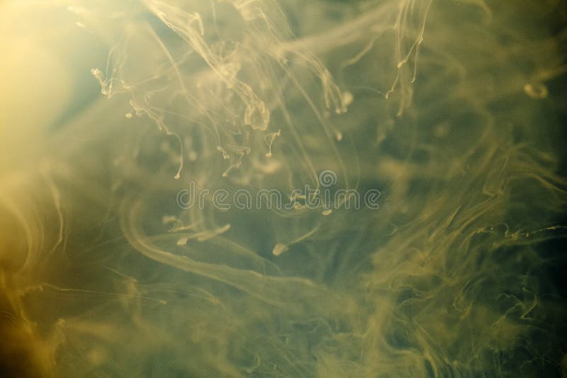 Abstract Color Background. Liquid Background with Floating Paint in a ...