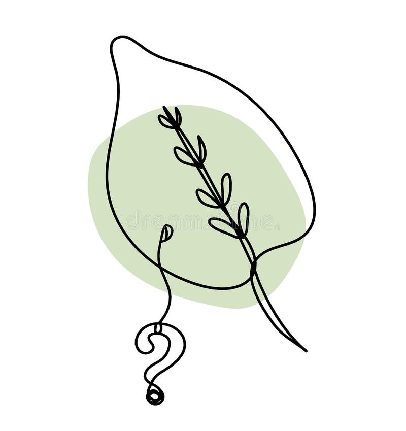 Banana Question Mark Stock Photos - Free & Royalty-Free Stock Photos ...