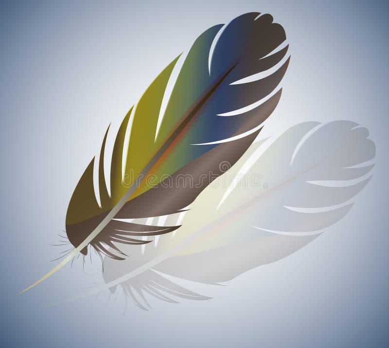 4 Colored Feathers stock vector. Illustration of wispy - 5982499