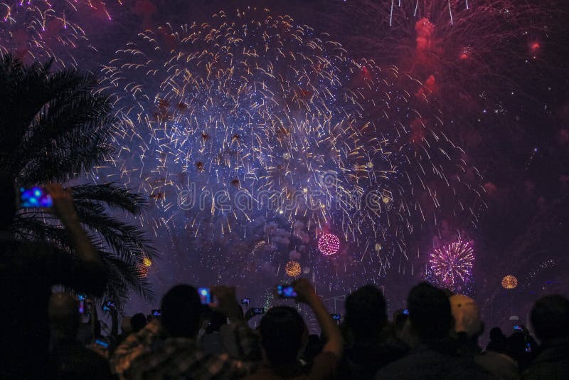 Abstract Colored Firework with Palm Trees Stock Photo - Image of ...