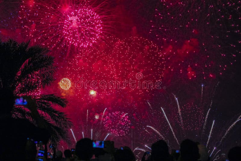 Abstract Colored Firework with Palm Trees Stock Image - Image of ...