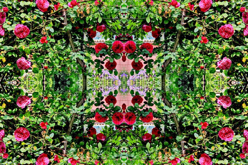 Abstract Colored Rose Ornaments Used As Base for Illustrations and ...