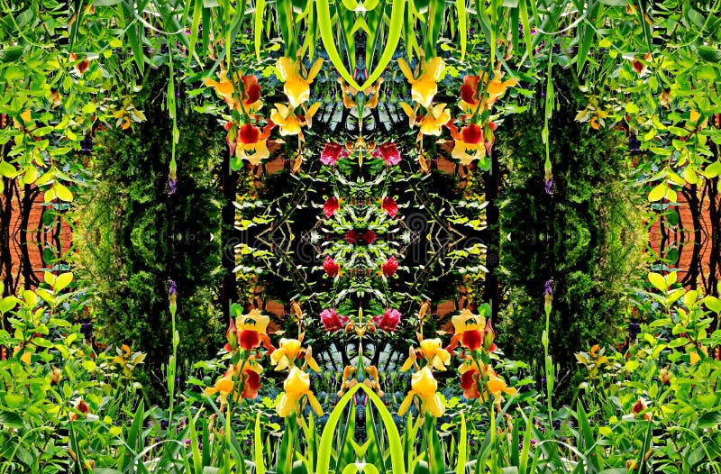 Abstract Colored Rose Ornaments Used As Base for Illustrations and ...