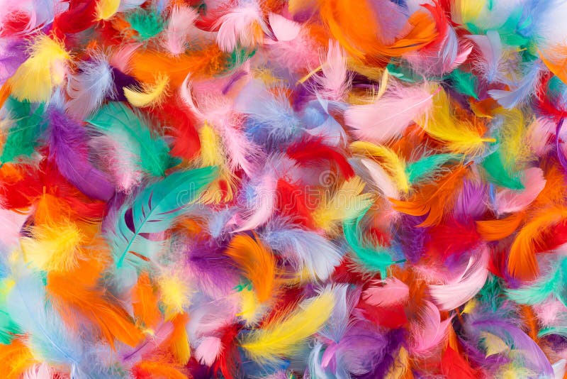 Abstract Colorful Background of Small Fluffy Feathers Stock Image ...