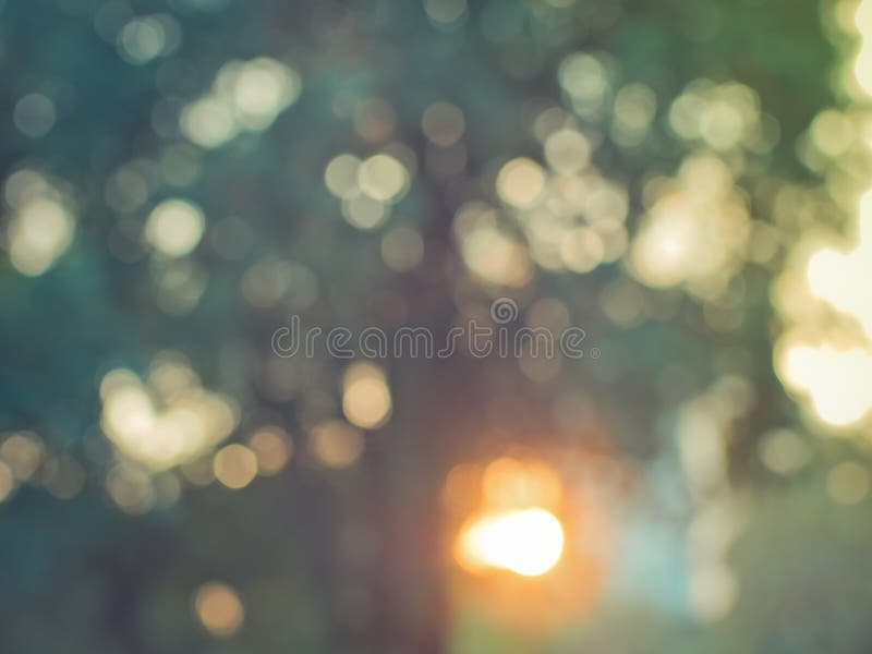Abstract Colorful Blur De Focused Background Shadow Tree with Sunlight ...