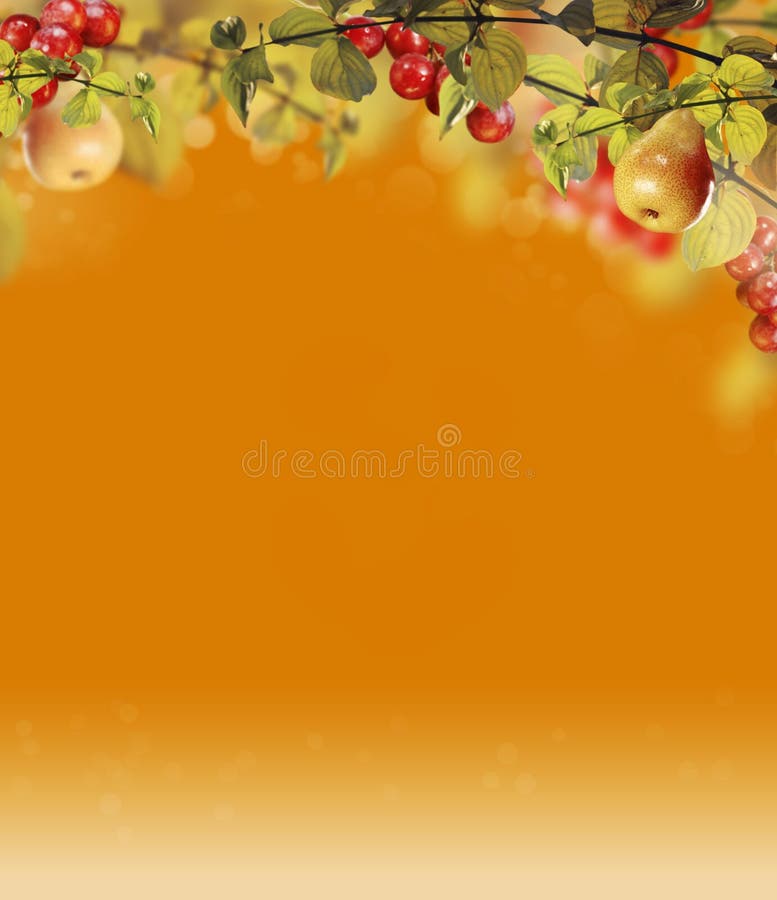Abstract Colorful Classic Background Stock Photo - Image of spring ...