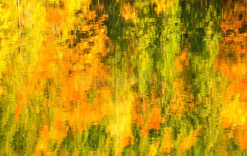Abstract Colorful Forest Reflection in Water Stock Image - Image of ...