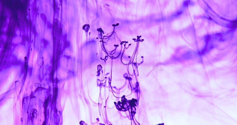 Ink Splatter Colorful Stains Fluid Splash Stock Footage - Video of ...