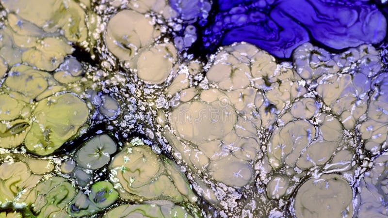 Abstract Colorful Ink Spread Art Stock Video - Video of movement, arty ...