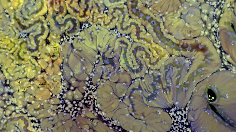 Abstract Colorful Ink Spread Art Stock Video - Video of design ...