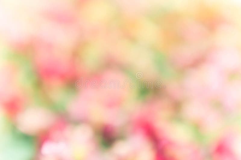 Abstract Colorful Mix Nature Blur Background Stock Image - Image of ...
