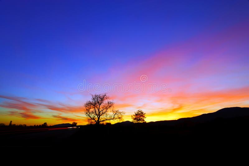 Abstract Colorful Sunset Landscape with Tree Silhouette Stock Image ...