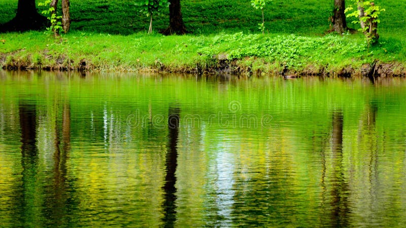 Abstract Colorful of Tree Reflection on the Water. Stock Image - Image ...
