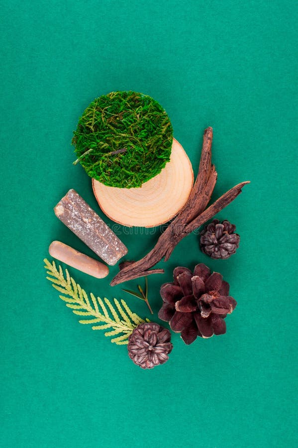 Abstract Composition with Elements of Nature on Green Background Stock ...