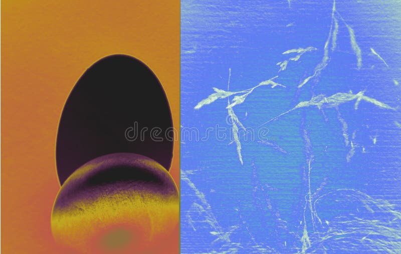 An Abstract Composition Featuring a Golden Egg with a Contrast Shadow ...