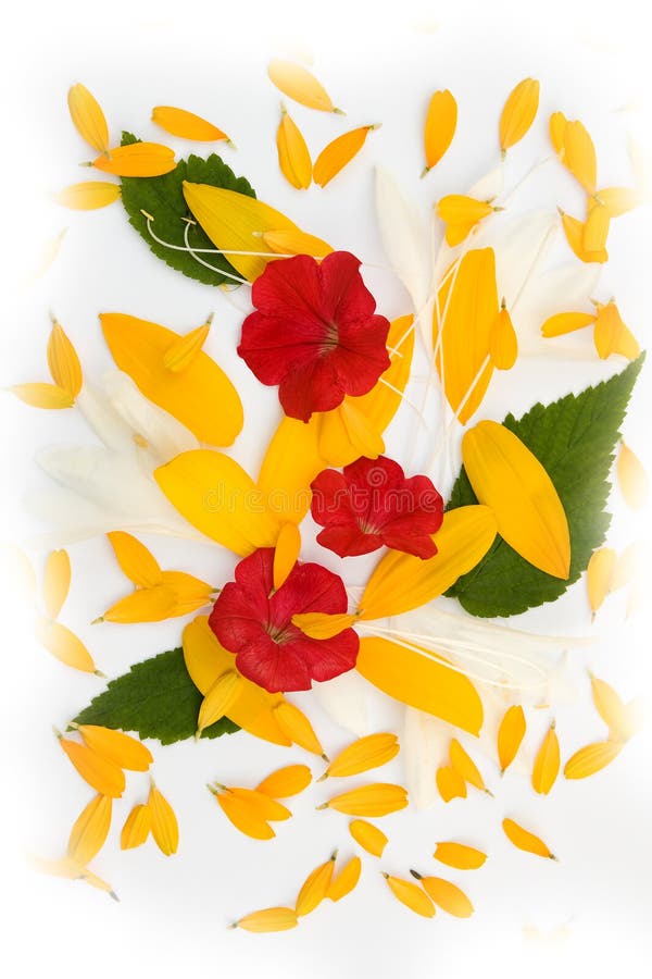 Abstract Composition with Flowers Stock Photo - Image of backgrounds ...