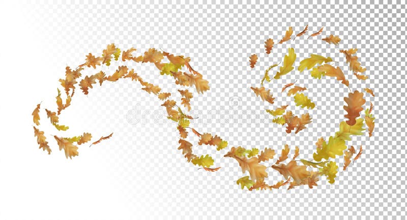 Flying Autumn Leaves stock vector. Illustration of foliage - 125582841
