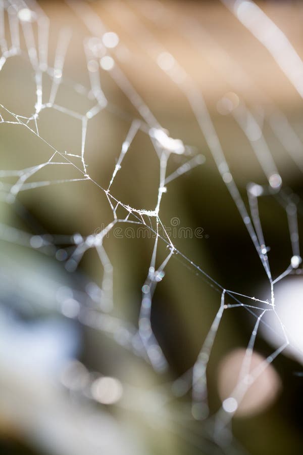 Abstract Composition with Spider Web Stock Photo - Image of dark ...