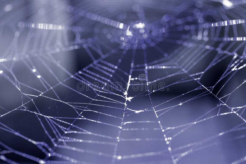 Abstract Composition with Spider Web Stock Image - Image of drop, dark ...