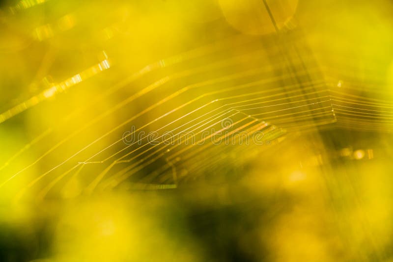 Abstract Composition with Spider Web Details Stock Photo - Image of ...