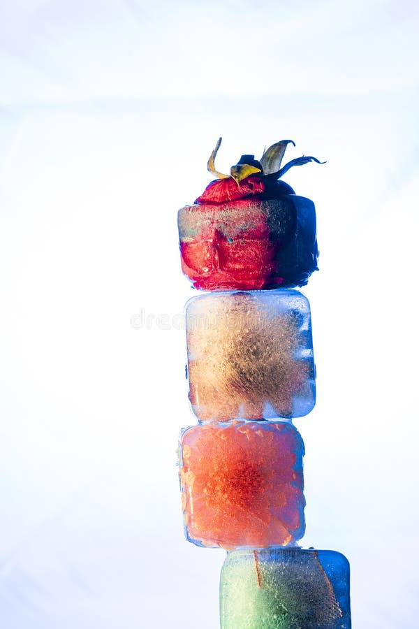 Abstract Composition with Stack of Colourful Ice Blocks on White ...