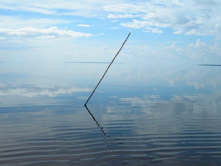Abstract Composition with Stick on the Amazon Stock Image - Image of ...