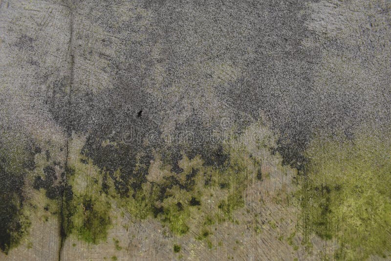 Abstract Concrete Floor with Gray Volcanic Ash Stock Image - Image of ...