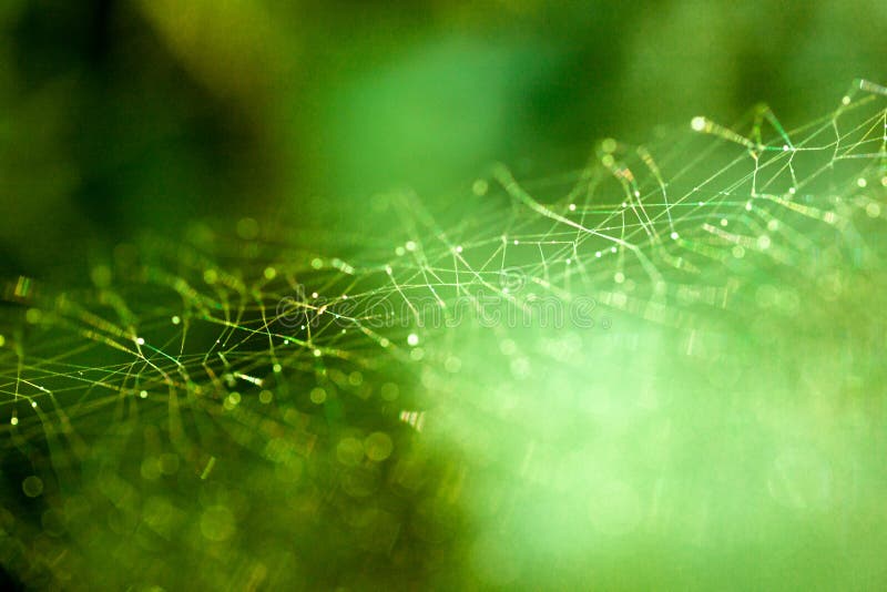 Abstract Connected Dots on Green Background - Connection Technology ...