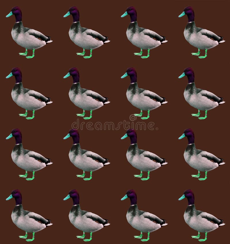 Abstract and Contemporary Retro Duck Greeting Card Design Stock Photo ...