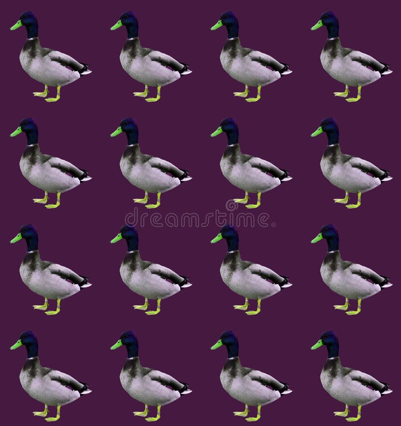 Abstract and Contemporary Retro Duck Greeting Card Design Stock Photo ...