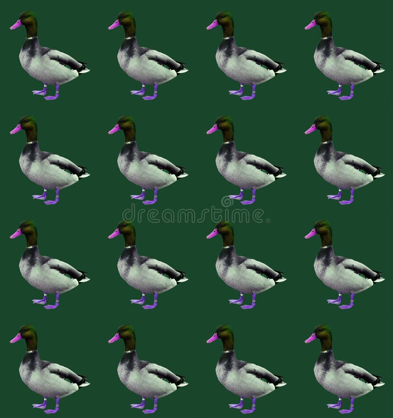 Abstract and Contemporary Retro Duck Greeting Card Design Stock Photo ...