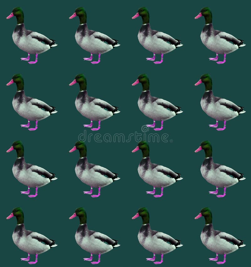 Abstract and Contemporary Retro Duck Greeting Card Design Stock Photo ...