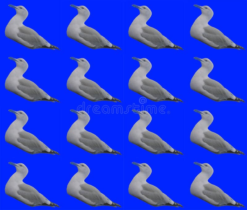 Abstract and Contemporary Seaside Seagull Greeting Card Design Stock ...