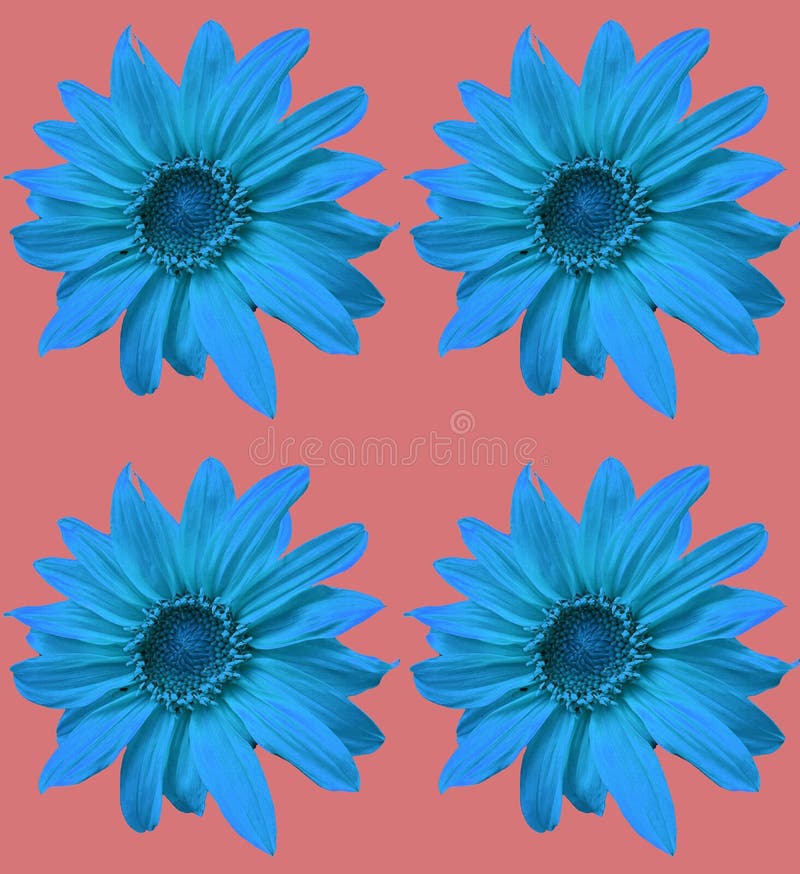 Abstract and Contemporary Sunflower Design Stock Photo - Image of cards ...